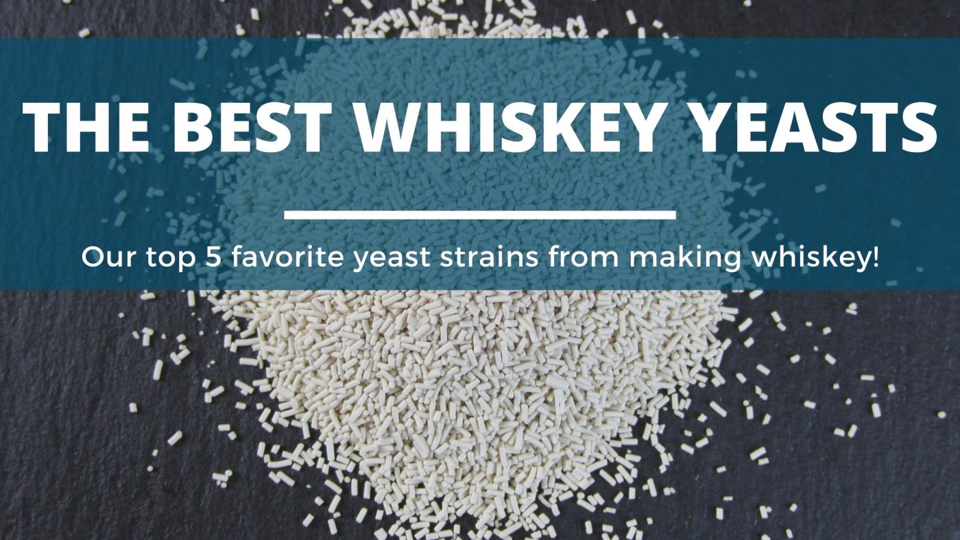 Yellow Label Angel Yeast (A Distiller's Guide To Angel Leaven) - Distilmate