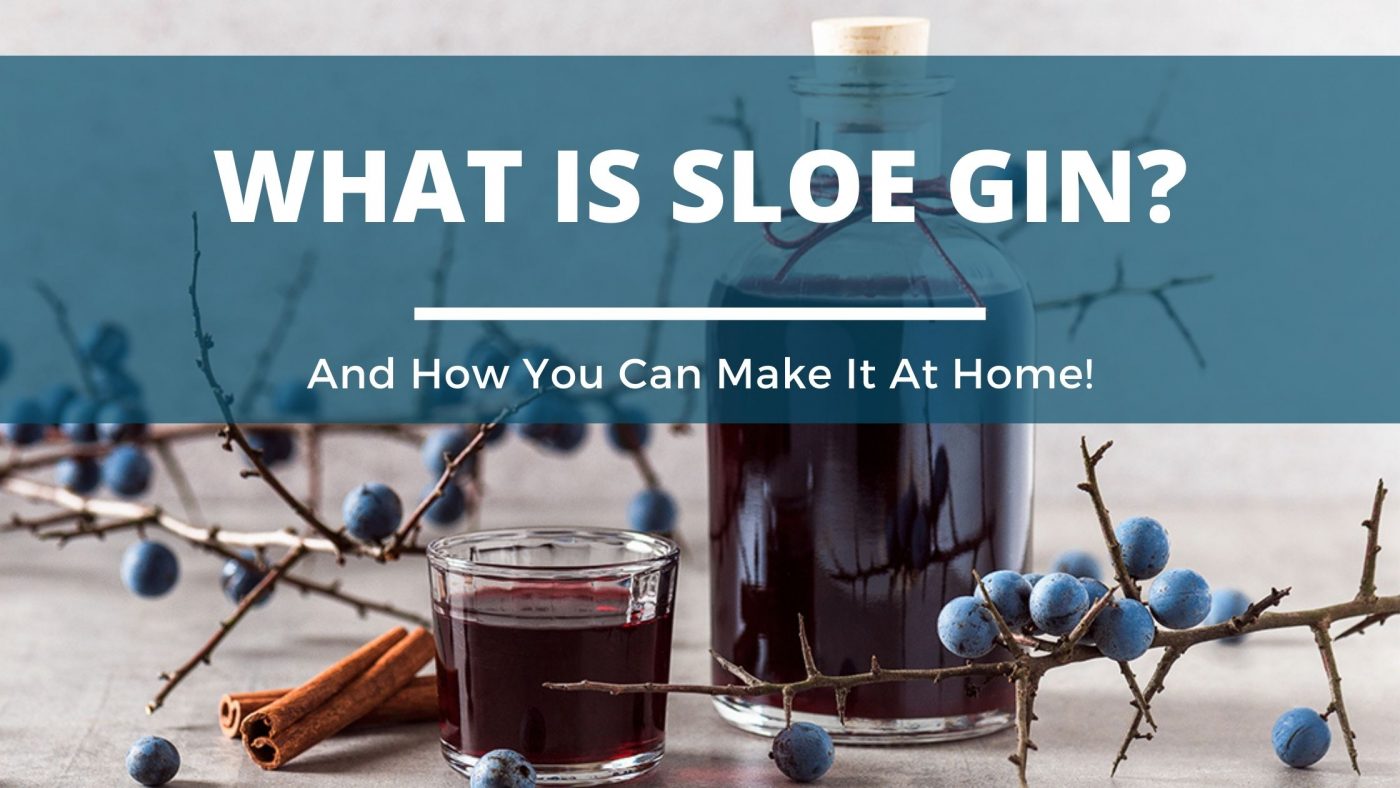 What Is Sloe Gin? (And How You Can Make It At Home!) - Distilmate