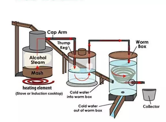 What Is A Thumper Keg (And How Do They Work?) - Distilmate