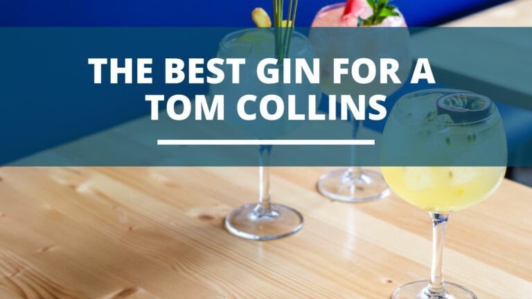 What Is Sloe Gin? (And How You Can Make It At Home!) - Distilmate