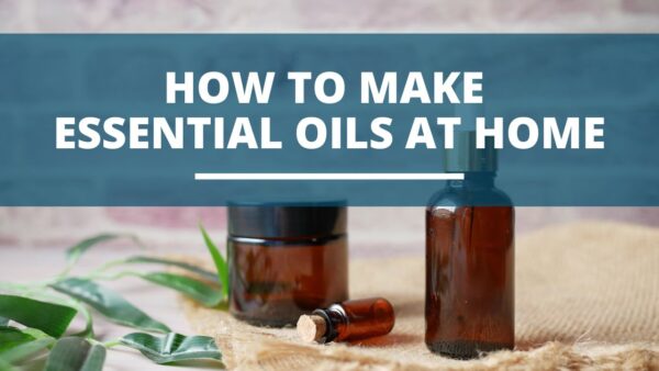 How To Make Essential Oils (Complete Guide) - Distilmate
